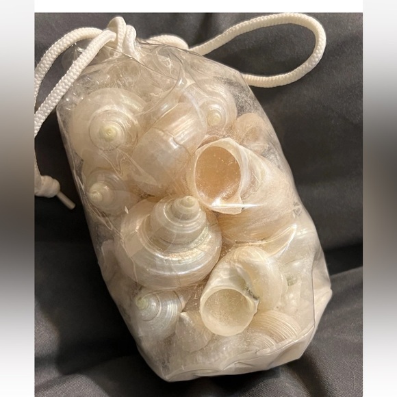 Pottery Barn | Accents | New Pottery Barn Mixed Pearlized White Sea ...